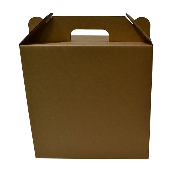 Surprise Delivery Box Large 8674 – Australian Corrugated Packaging