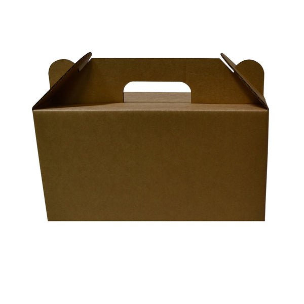 Surprise Delivery Box Small 8671 – Australian Corrugated Packaging